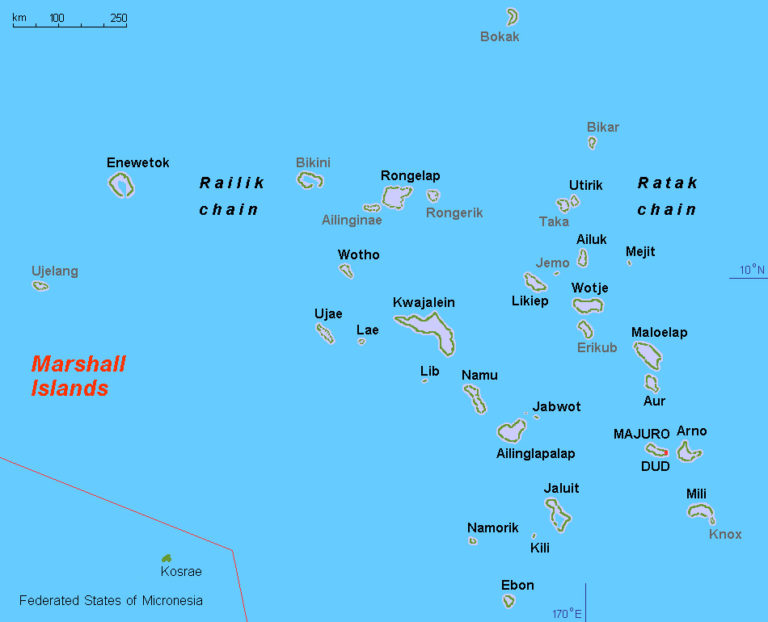 Commitment to Improving Lives: Empowering the Marshallese Community in ...